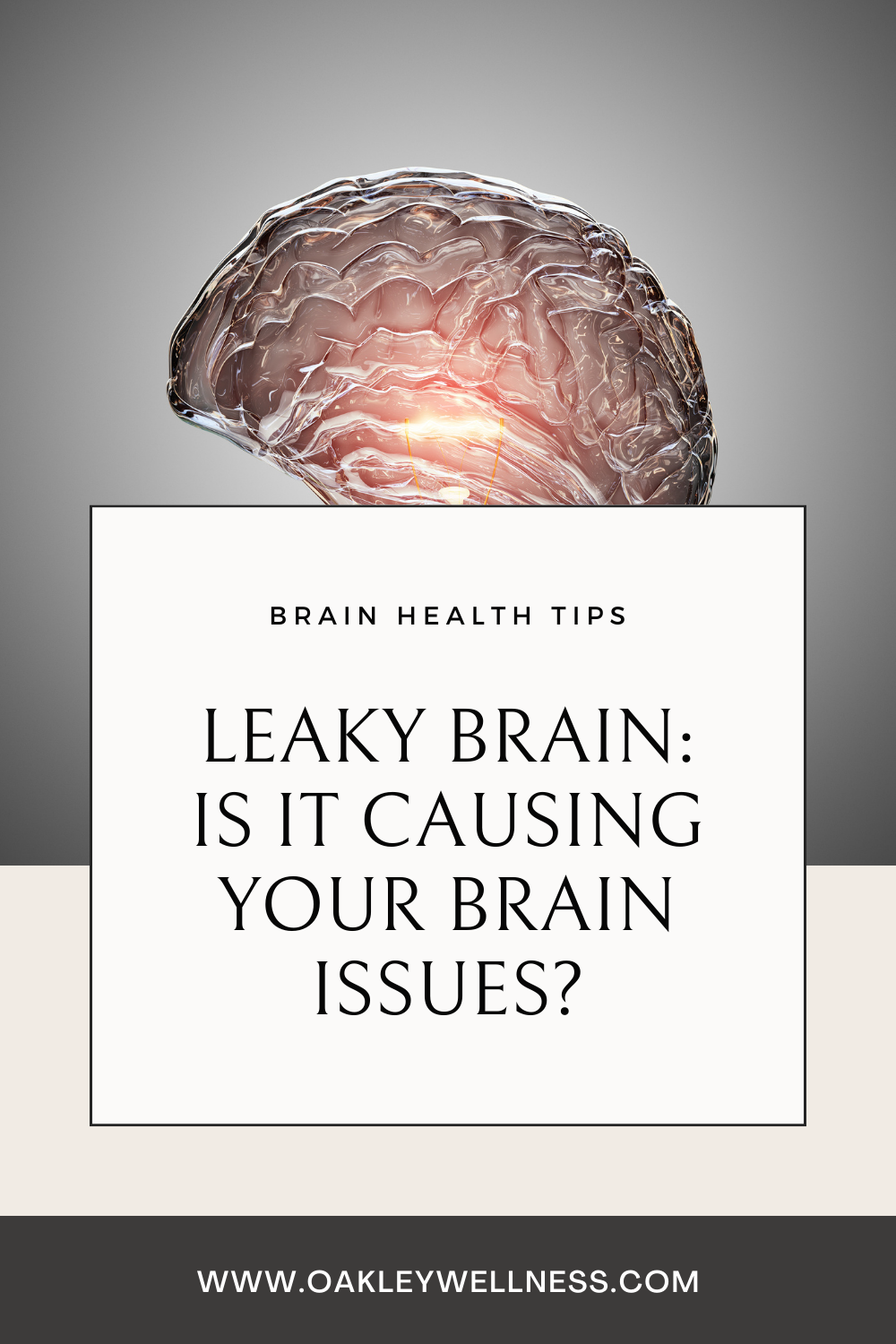 Leaky Brain: Navigating the Fog Back To Mental Clarity - OAKLEY ...